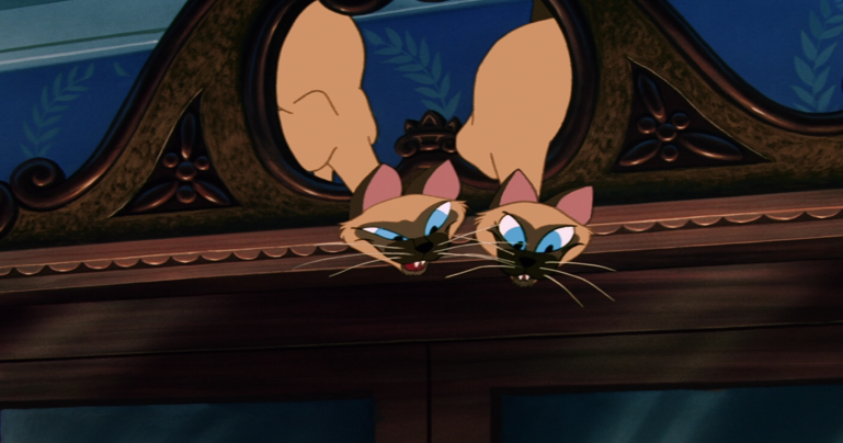 Siamese Cats On Lady And The Tramp | Siamese Cats And Kittens