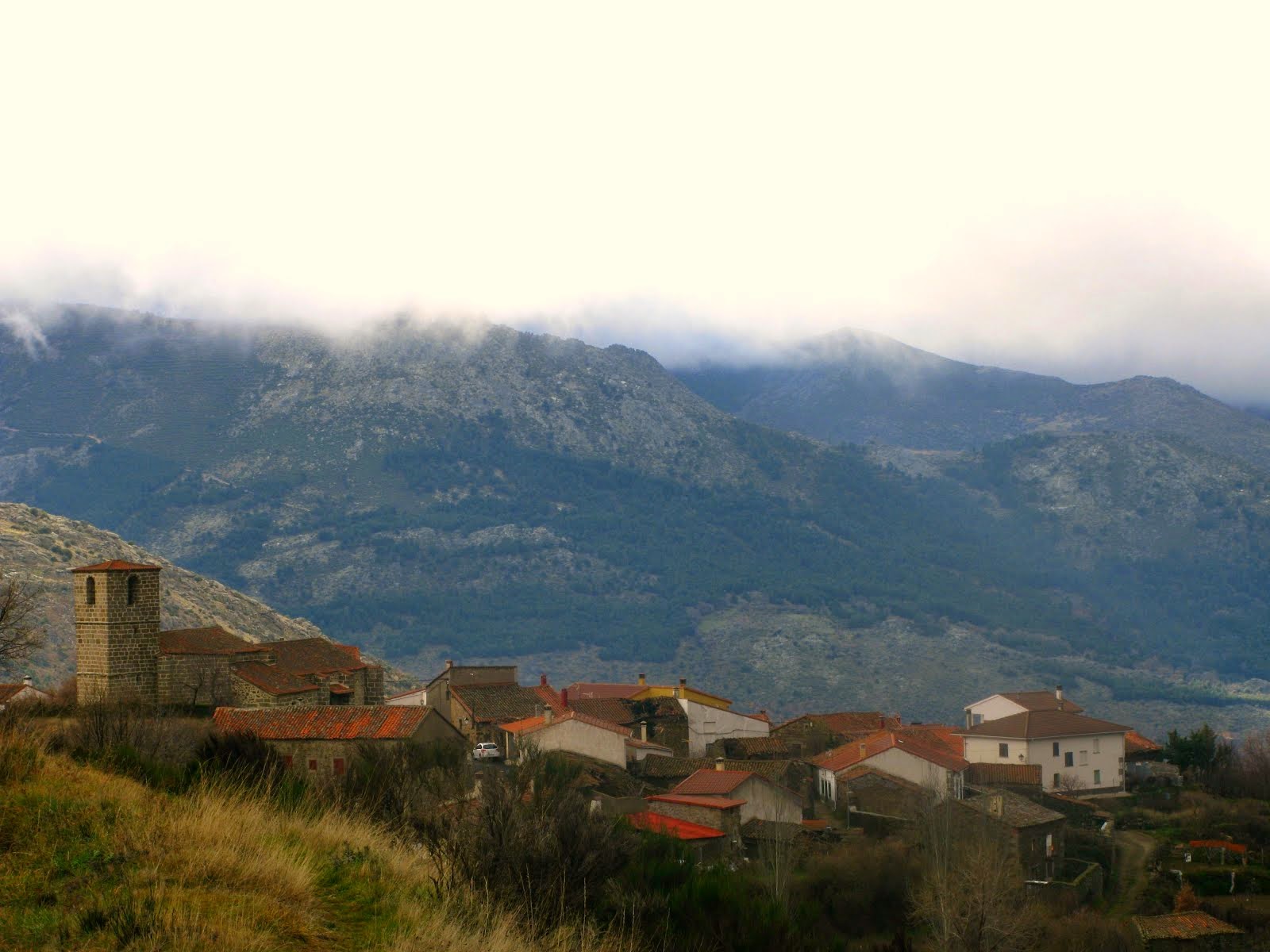 CAFEDETIZÓN: LA MOZA QUE ESCRIBÍA CARTAS DE AMOR
