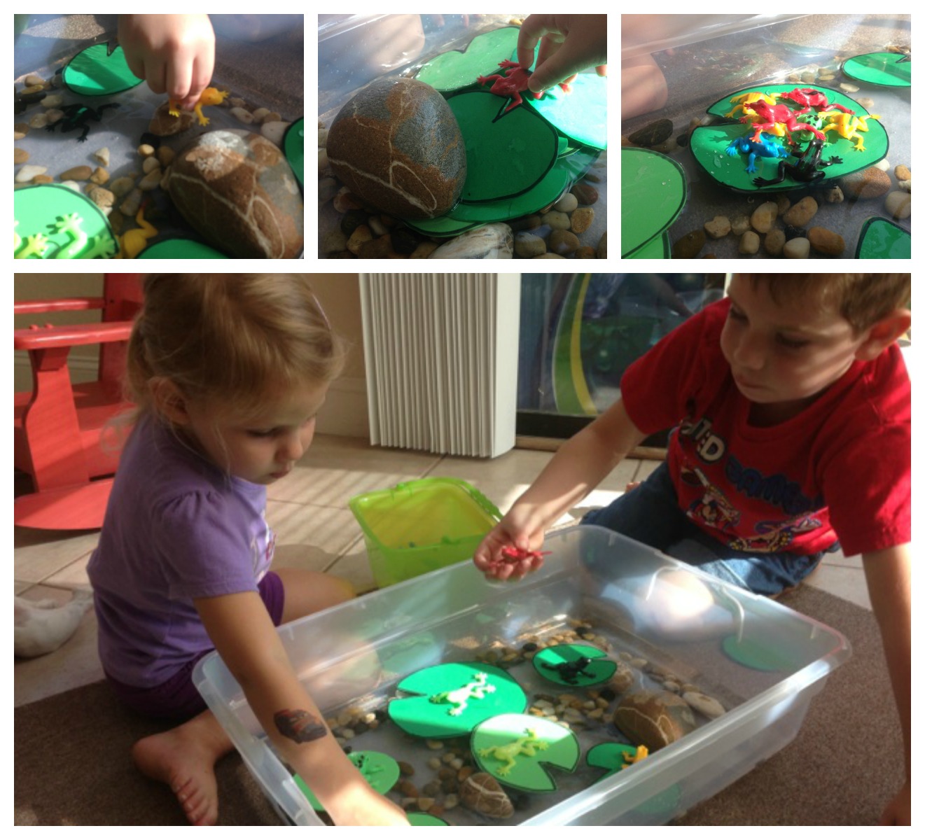 Encourage. Play. Learn.: Frog Sensory Ponds