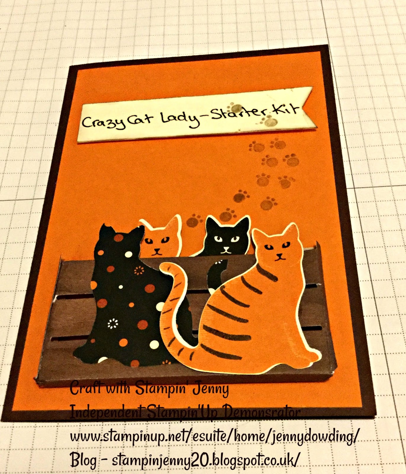 Stampin' Jenny: Stampin'Up! Crazy Cat Lady - Starter Kit Card Cat punch ...