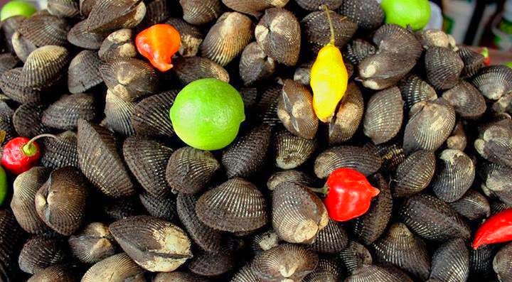 PROYECTO REGIONAL CONCHA: FERIA INTERNACIONAL DE LA CONCHA NEGRA SE ...