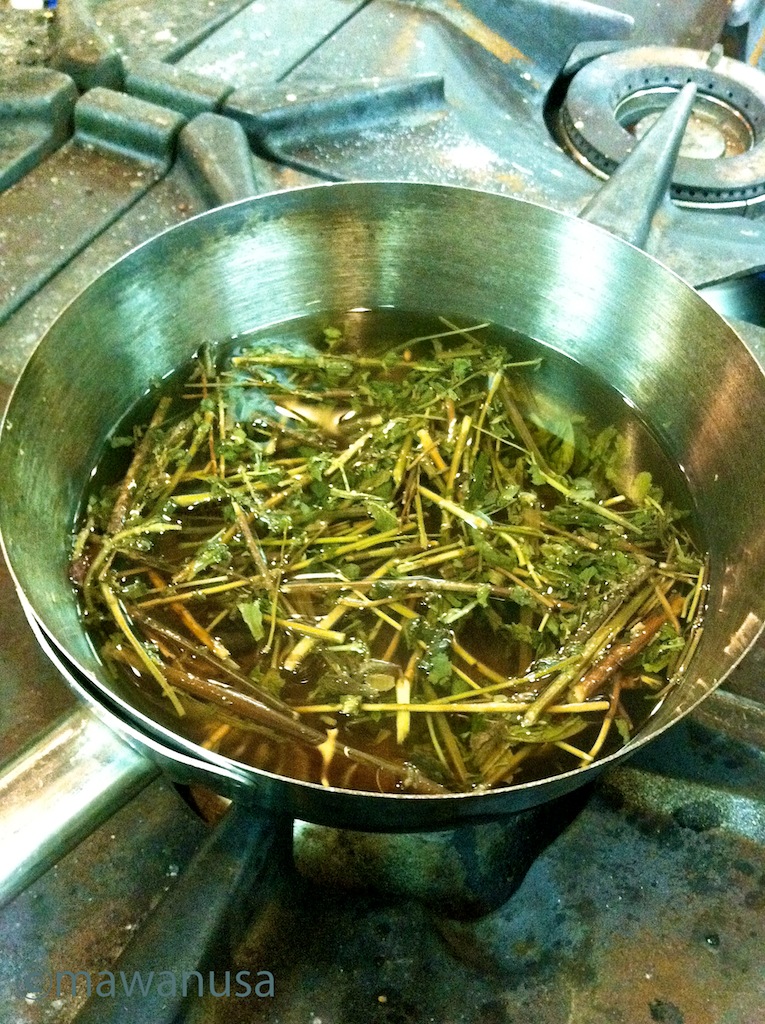 Mawanusa Blog: An Introduction to the Bedouin Tea
