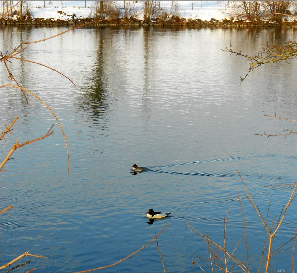einen moment verweilen: Fukushima, Gruppenskulpturen von Simon Azar