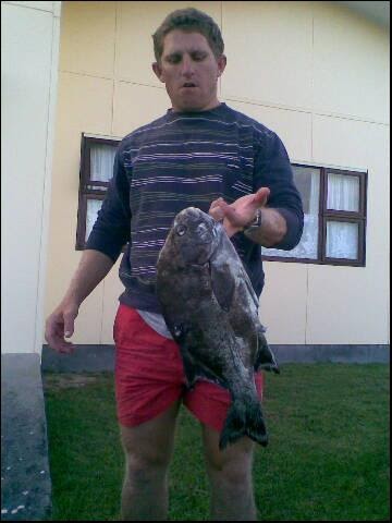 South African National Fish Galjoen