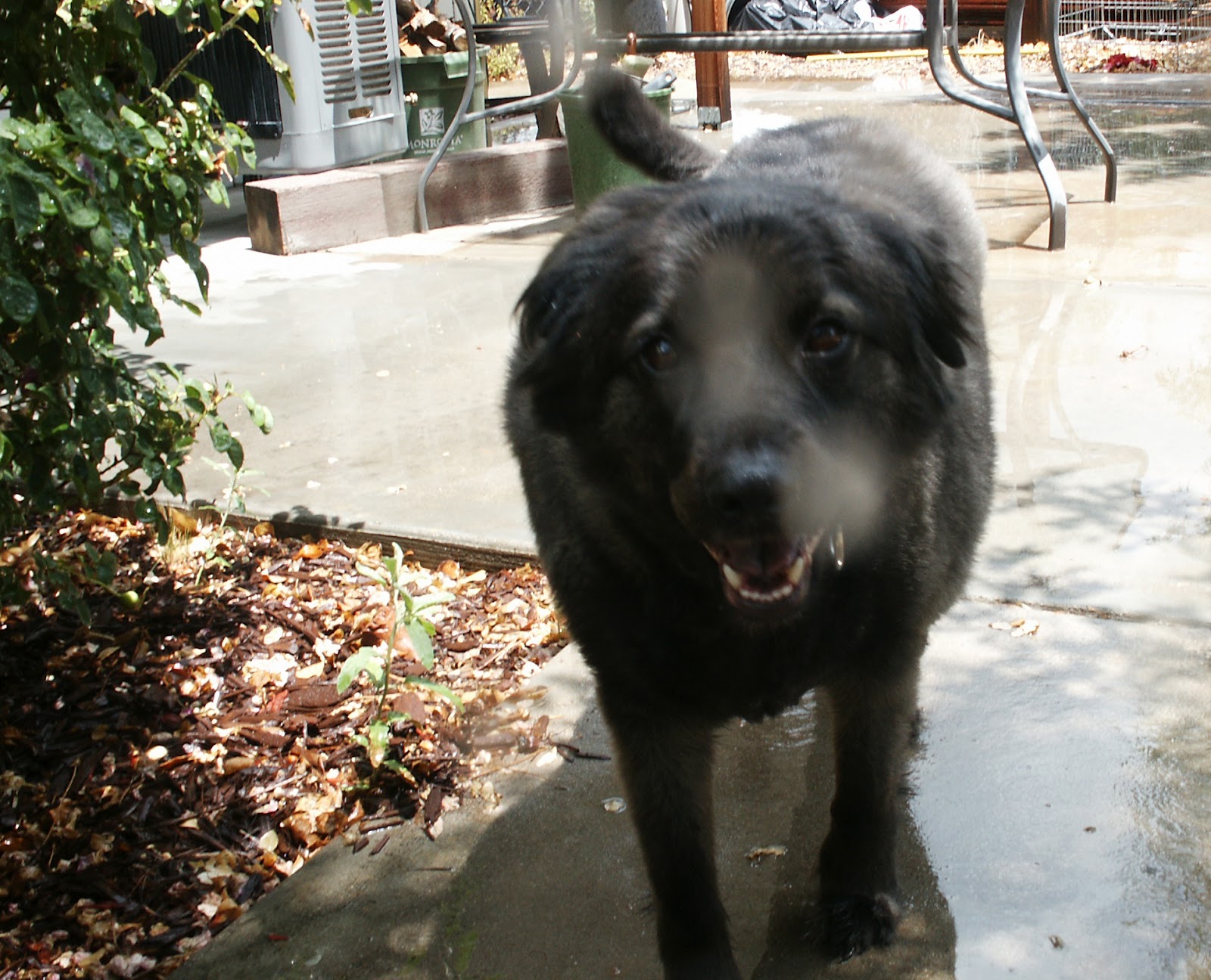 Magic Gypsy: WBC Studio Tour!