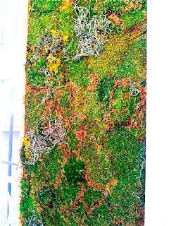 A Place In The Life of...: Ashley Hubbard