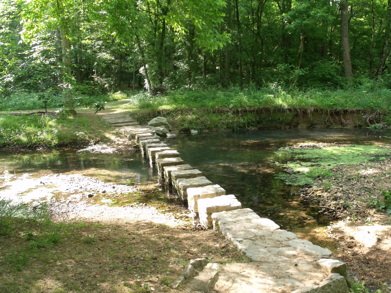 Natchez Trace Parkway-Rock Spring nature trail / roadside waterfall