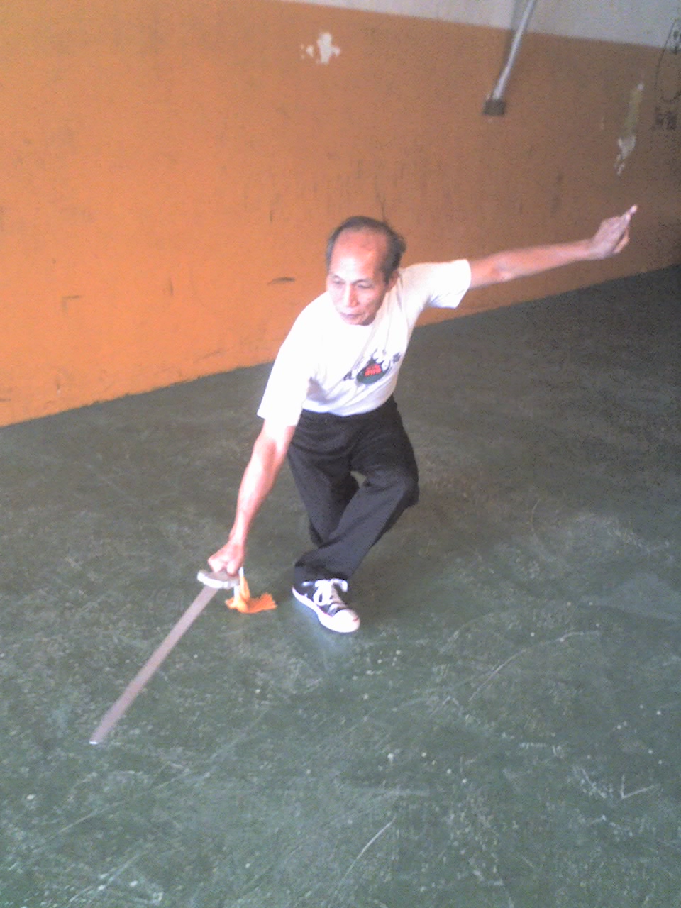 Blog Instituto Chi Wushu Kung Fu Brazil: Grande Mestre Lee Wai Yin