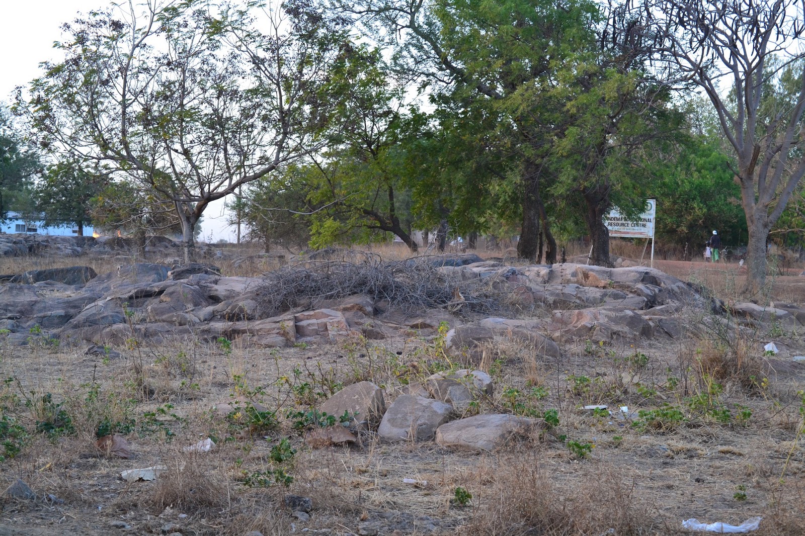 Days of our LIFE: May 2013