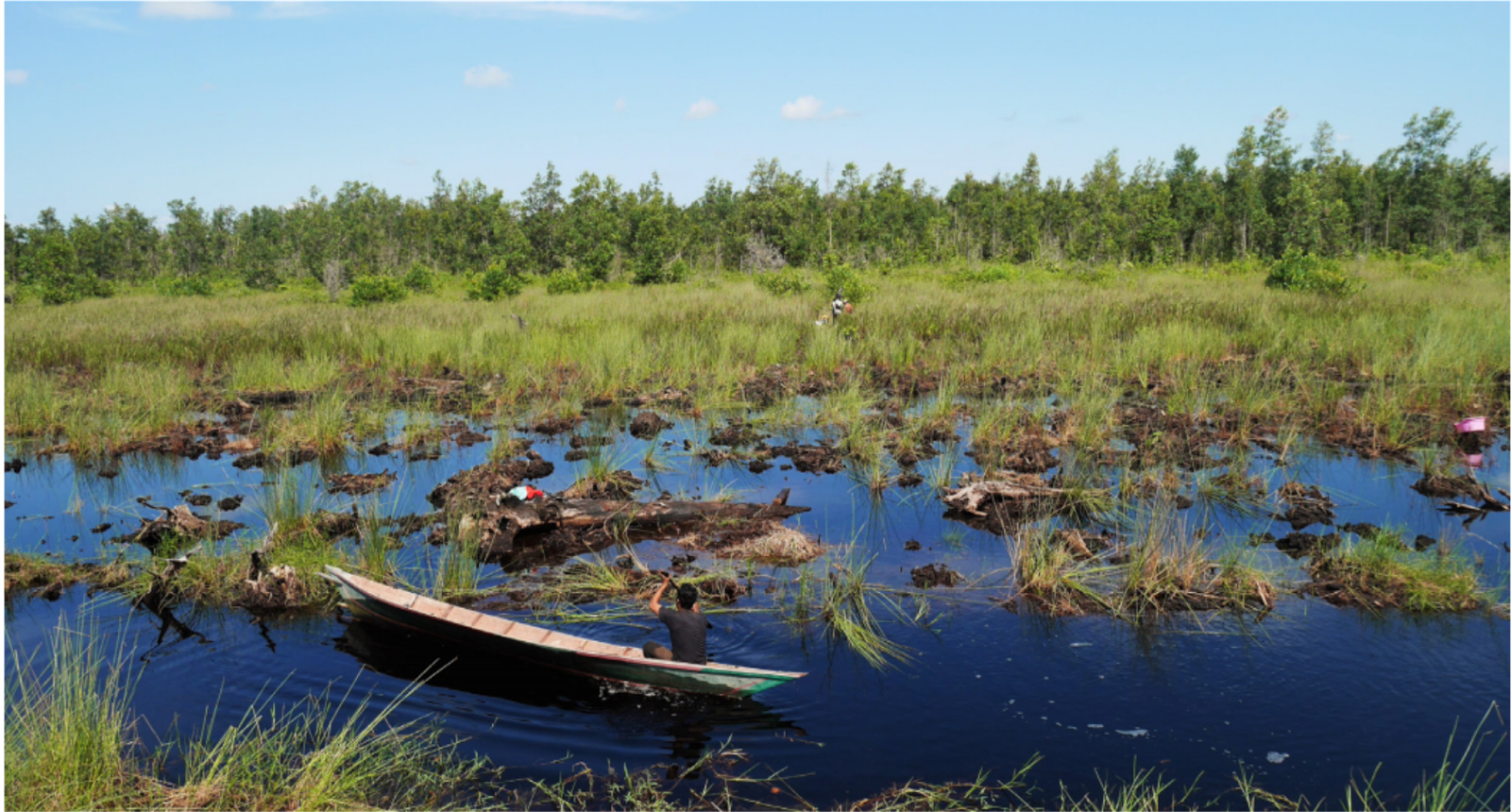 Menjaga Lahan Gambut, Menjaga Indonesia
