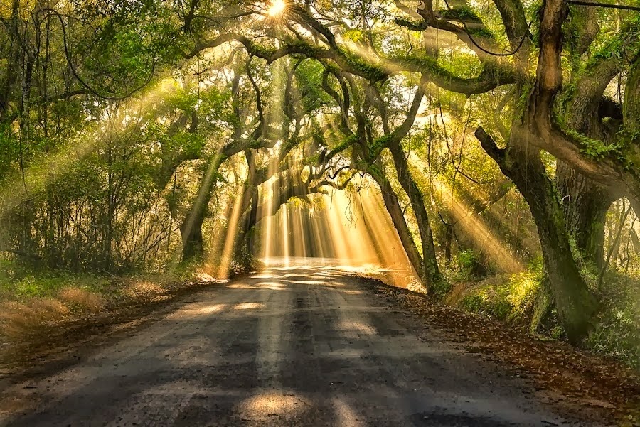 Photographers Share The Most Amazing Shot They Ever Captured - 2daynews ...