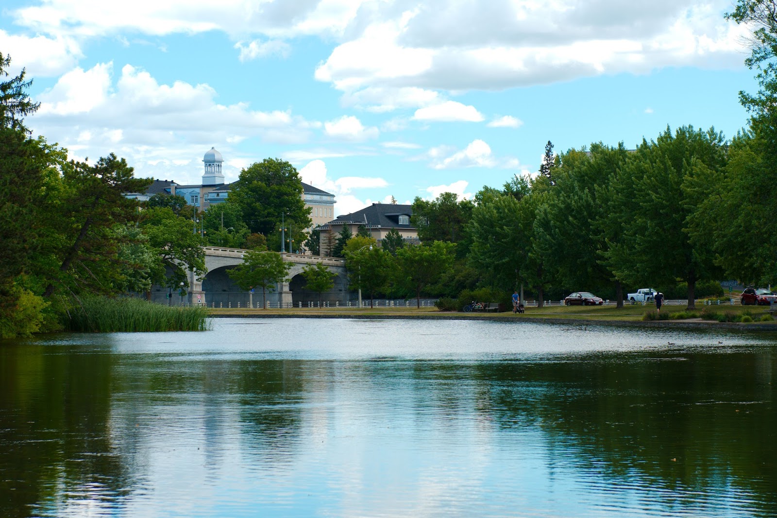 The Brown Knowser: Brown's Inlet