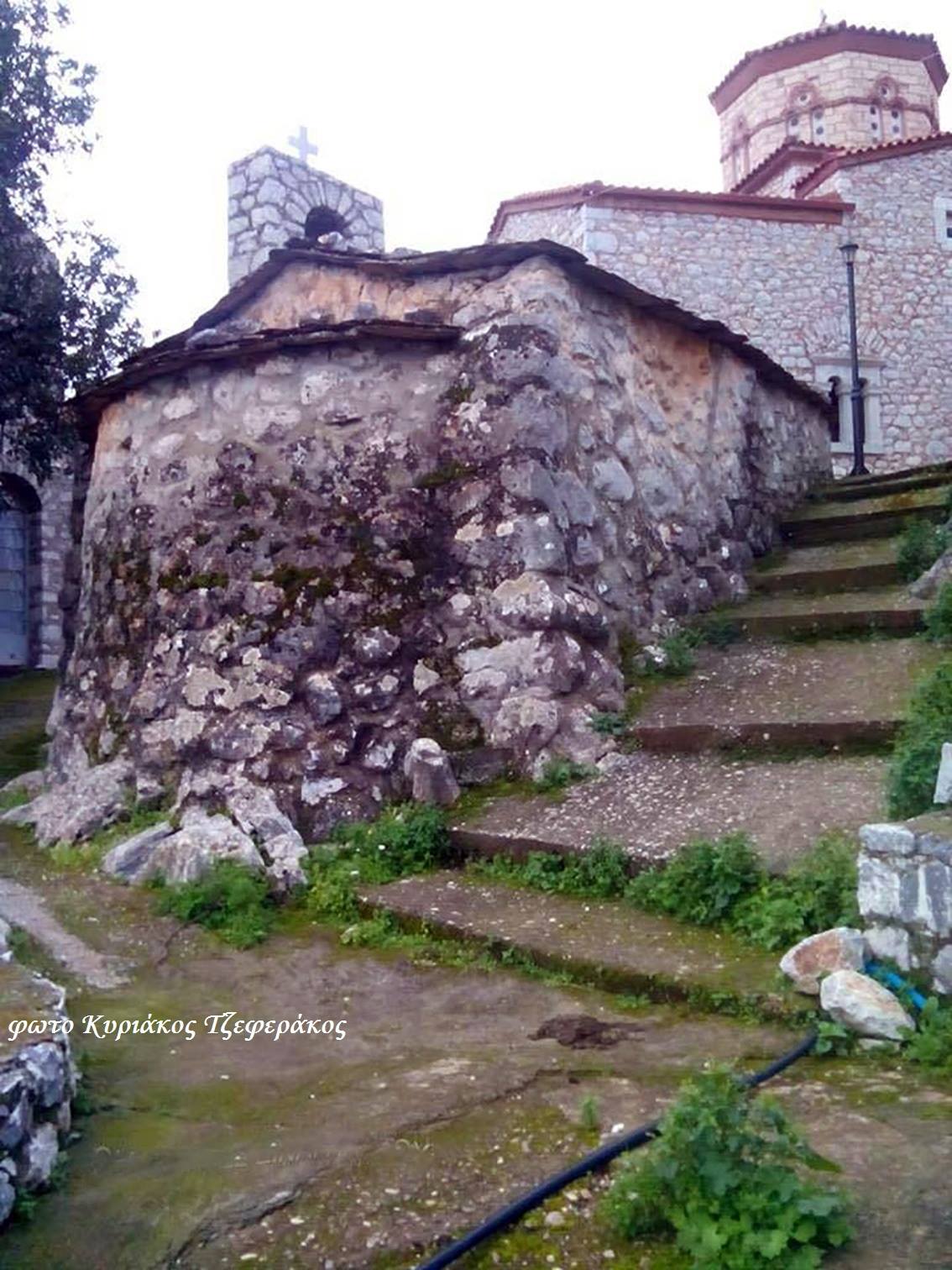 ΝΑΟΙ ΣΤΗ ΜΑΝΗ: ΔΡΥΜΟΣ ΔΡΥΑΛΙ (ΔΙΑΦΟΡΕΣ)