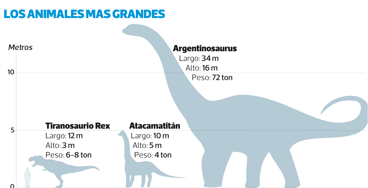 DINOSAURIOS gigantes de chile: Dinosaurios y otros gigantes del ...