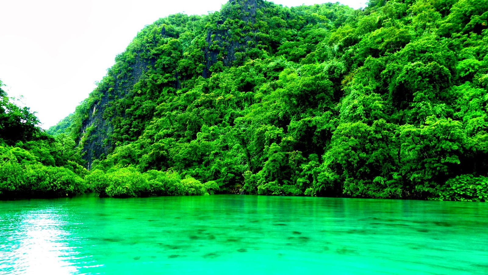 SNORKELING SITES OF CORON - Lakwatserong Tsinelas