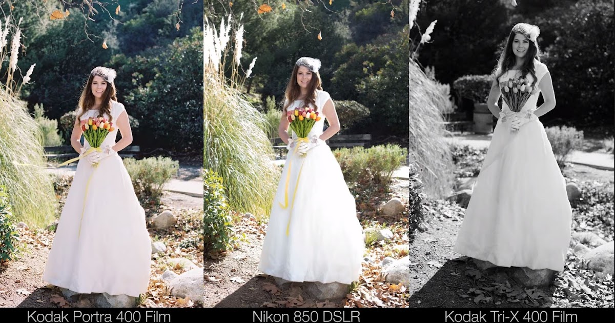 Film vs Digital: Can You Tell the Difference? - Photography Blog Tips ...