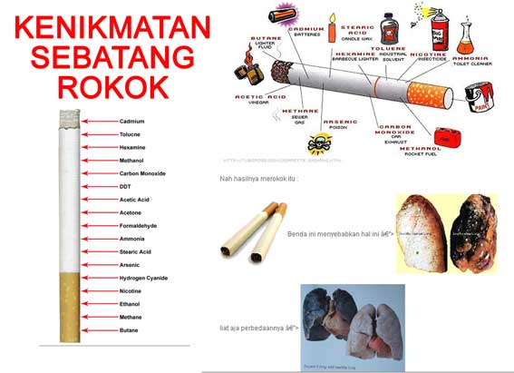 Kenikmatan Sebatang Rokok ~ Lurinfo