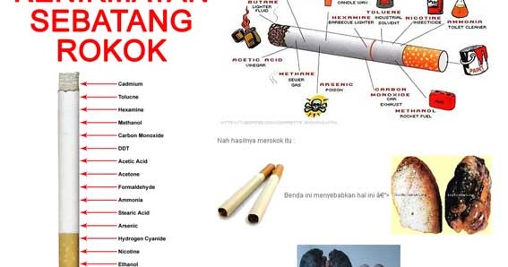 Kenikmatan Sebatang Rokok ~ Lurinfo