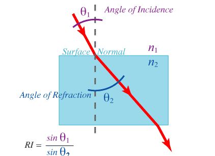 Science & Technology Literacy