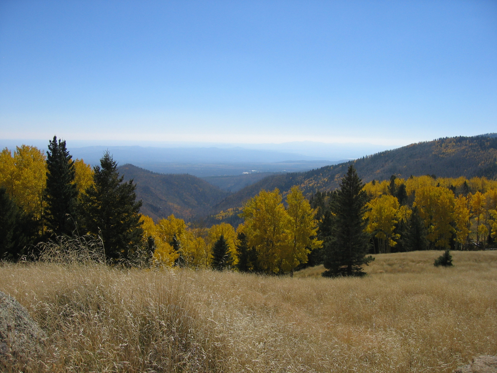 Los Alamos Trail Conditions and Updates: Guaje Ridge Trail