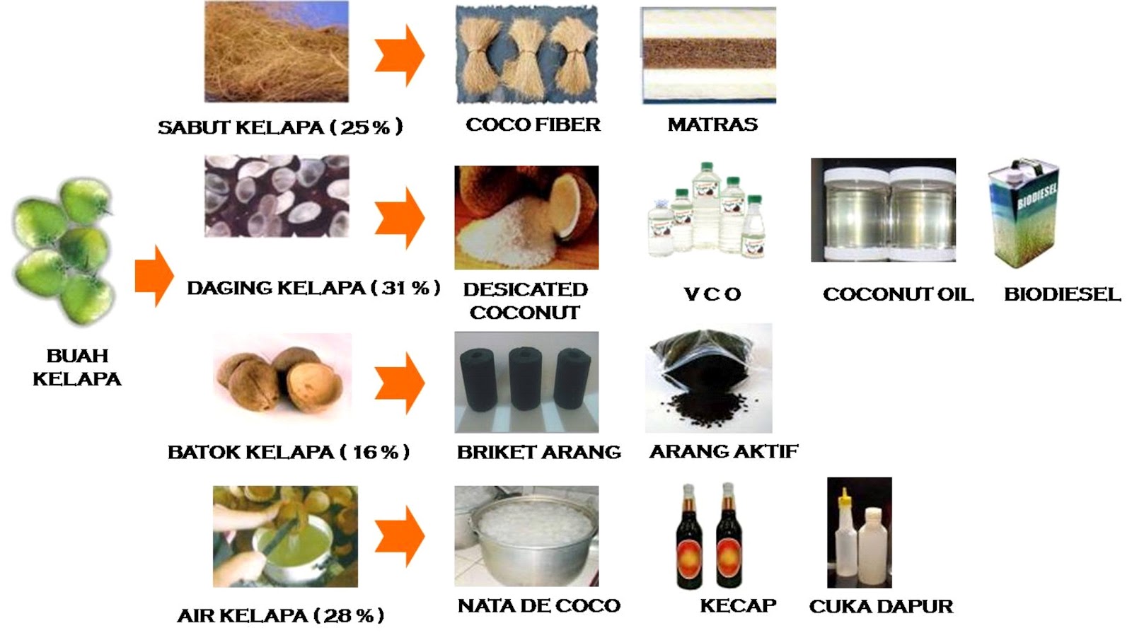 buatan guna indonesia: INTEGRATED COCONUT INDUSTRY/ INDUSTRI KELAPA TERPADU