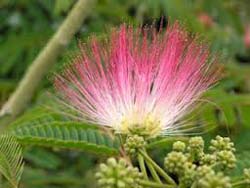 பொது அறிவுத் தகவல்கள் - General Knowledge Information in Tamil: போர் ...