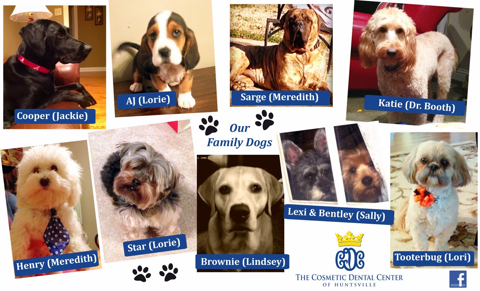 Doug Booth, DDS: Join us in supporting Girl Scout Troop 562 & Donate to ...