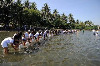 Sarangani Today: Sarangani Bay fish restocking