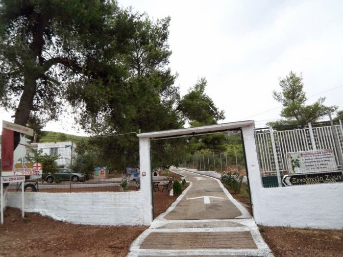 Νεκροταφείο Μικρών Ζώων "Ο ΑΓ. ΦΡΑΓΚΙΣΚΟΣ": Φωτογραφιες του ...