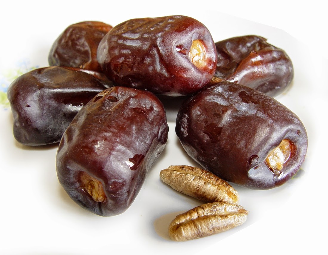 Peces y plantas ornamentales: Phoenix dactylifera - Palmera datilera