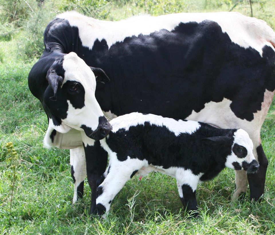 Segera Mission Foundation: July 2012