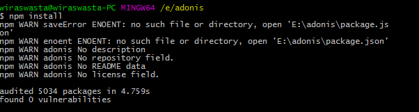 cara mengatasi npm WARN saveError ENOENT: no such file or directory, open 'E:\adonis\package.json