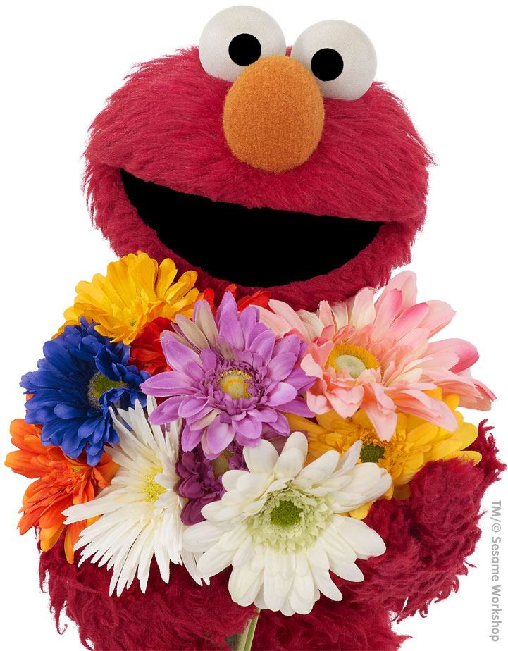 Hines-Sight Blog: Elmo is Coming to Raleigh: Sesame Street Live ...