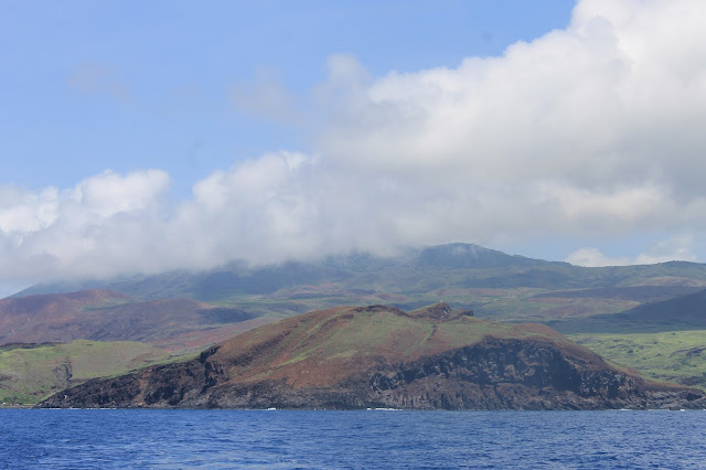 Biodiversidad de "El Bajío Profundo": ISLA CLARIÓN, ARCHIPIELAGO DE ...