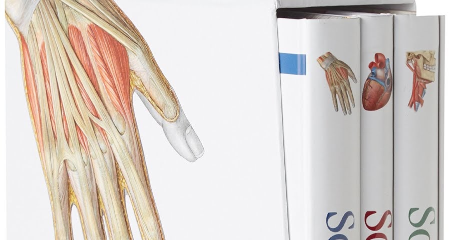 Sobotta Atlas of Human Anatomy 15th Edition - 3 Volume - Free Medical ...