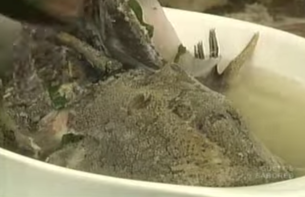 Tu Blog de Acuariofilia: Receta del Chupón, Pez Diablo o Plecostomus