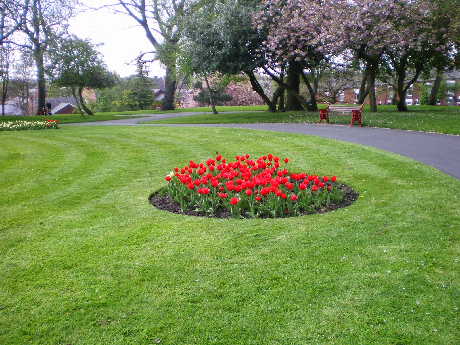 Dukinfield views in Tameside by Cllr John Taylor: Dukinfield park April ...