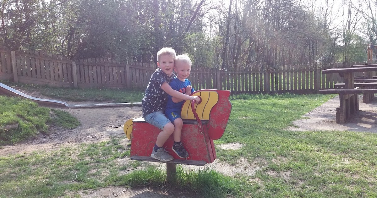 Where Roots And Wings Entwine