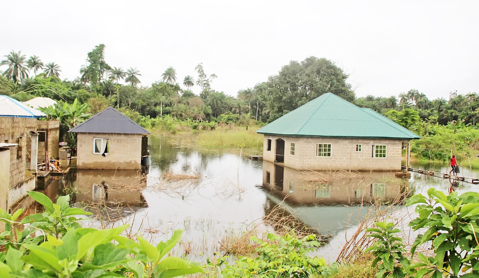 Niger Delta News Feeds: Flood: River Nun overflows bank, submerges ...
