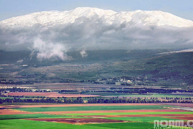 ADMIRANDO LAS TIERRAS BIBLICAS: 4- Descanso en el Oasis de Faran