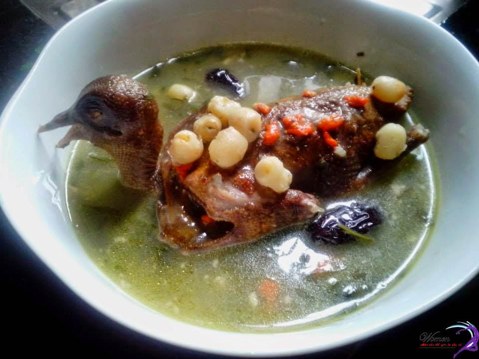 Chim bồ câu hầm thuốc bắc hạt sen - Bồi bổ cho cơ thể - App Store Việt ...