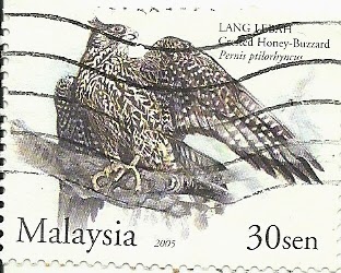 DUNIA SETEM : Stamp Bird of Prey/Burung pemangsa 2005