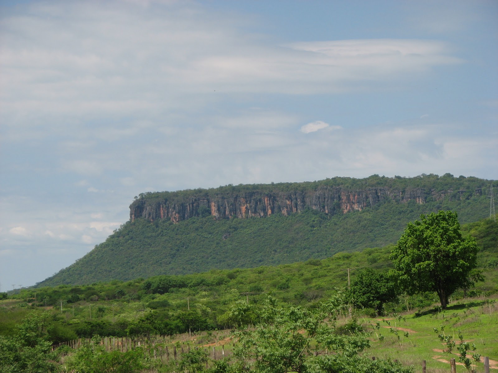 Caatinga é Vida!: Sobre o bioma caatinga...