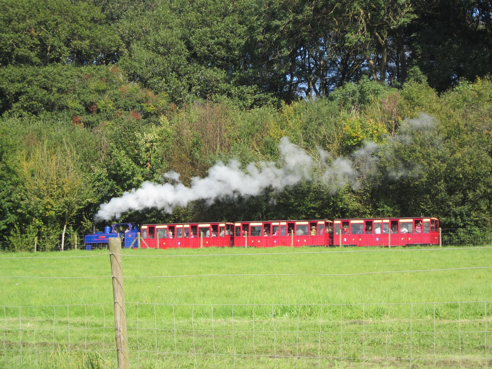 Narrow Gauge Railways UK: Perrygrove Railway