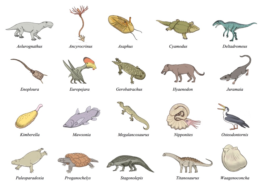 Hirokazu Tokugawa's Paleo Sculpture: THE PREHISTORIC LIFE MAP OF THE WORLD.