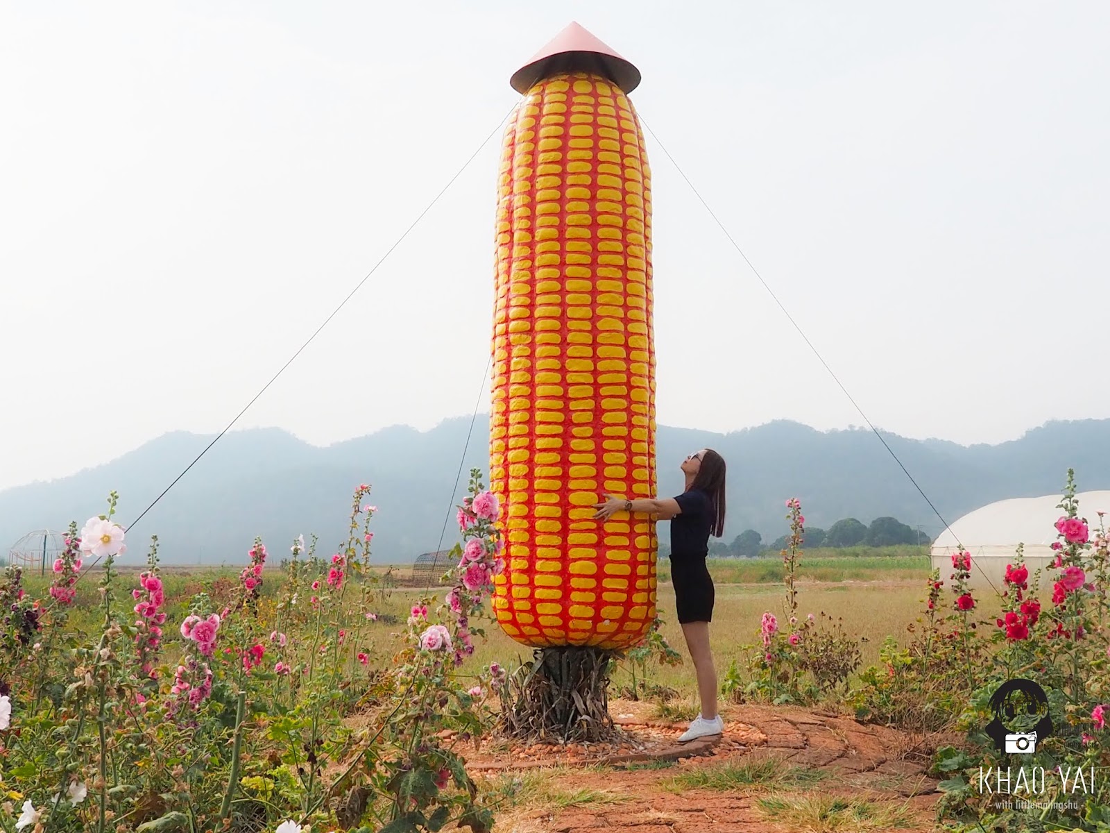 軒外之音 the-blogger-cinda: 軒外之音 | 考艾旅遊 Khao Yai Travel | 泰國世外桃源有小歐洲之稱的 🏝考艾 ...