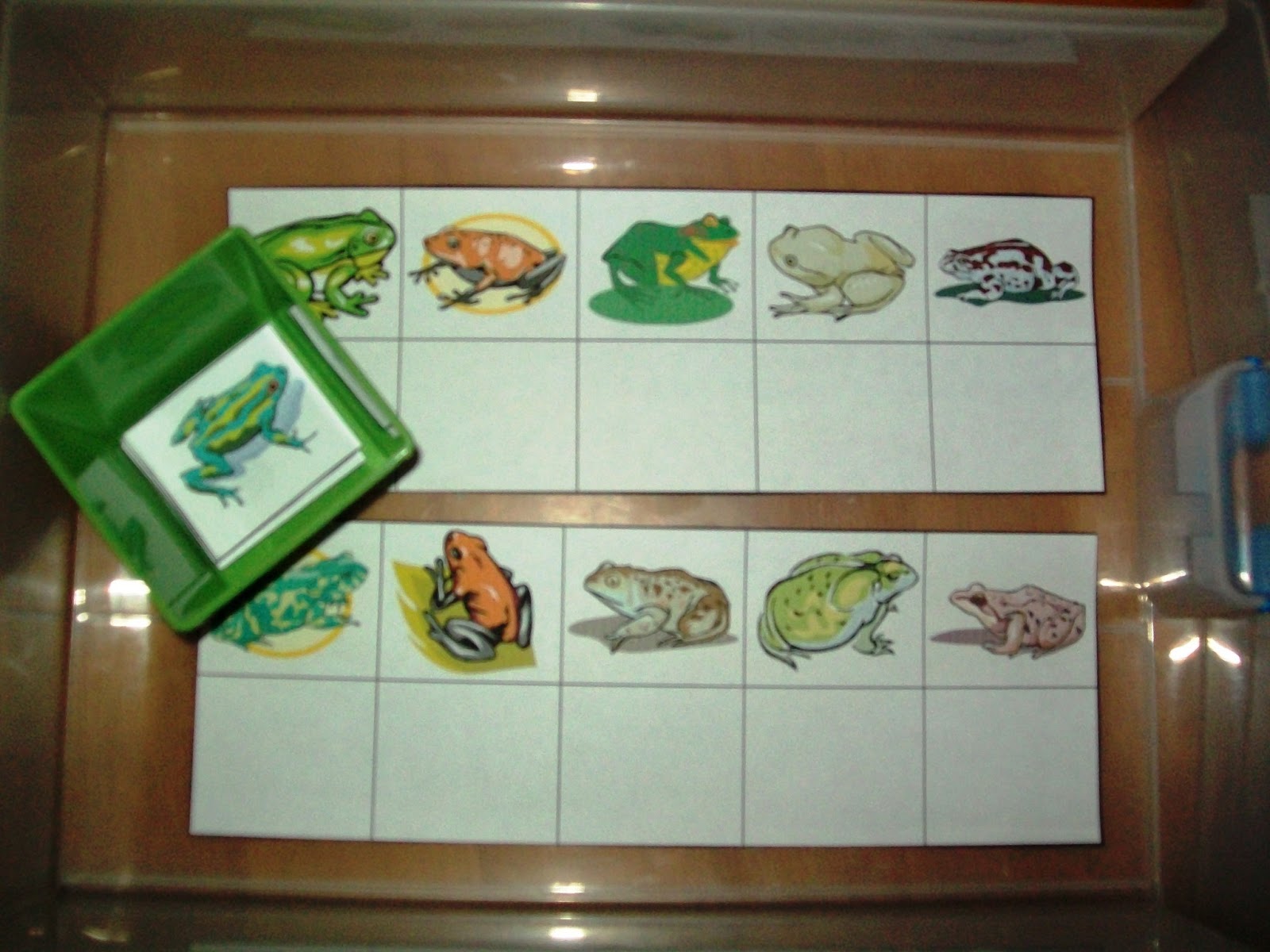 Reptiles & Amphibians Unit with FREE Printables - Every Star Is Different