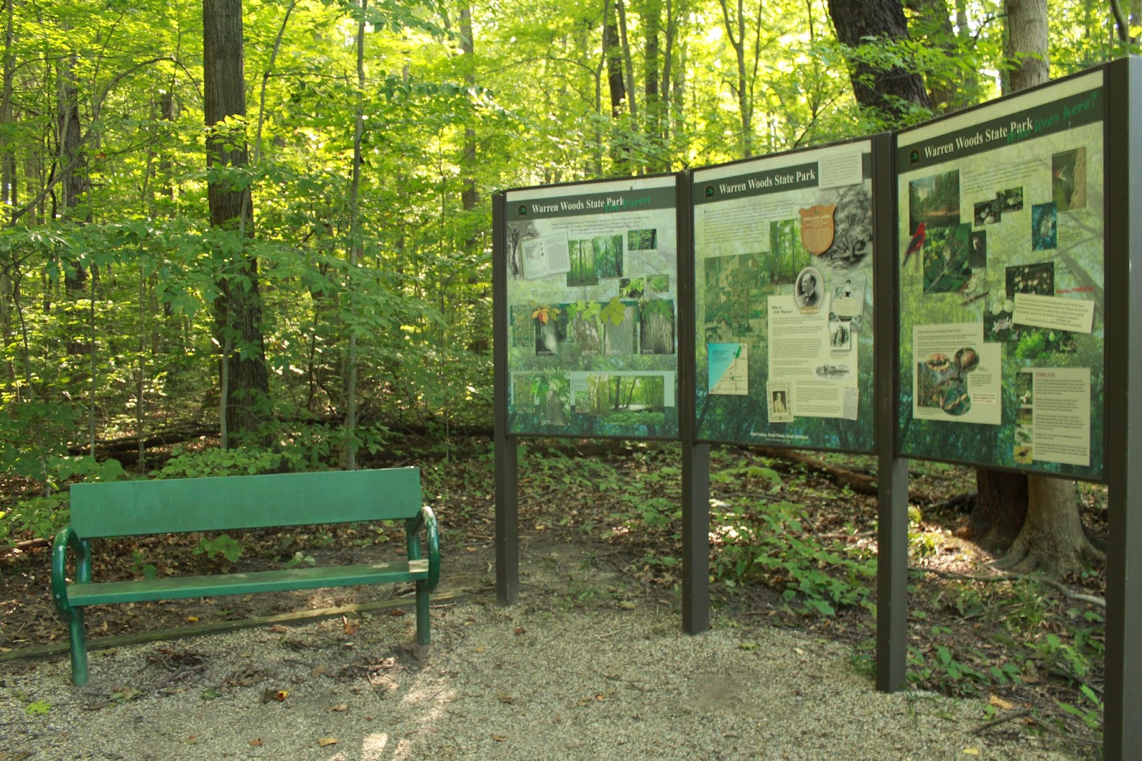 FINALLY - Visiting Warren Woods State Park