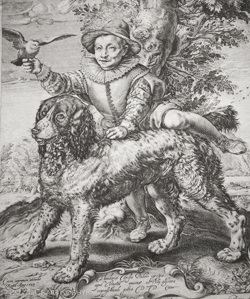 Animal Planet Facts: General history of the dogs