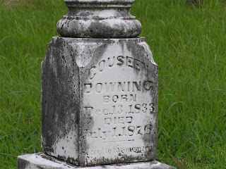 Thoughts from Polly's Granddaughter: January 2012